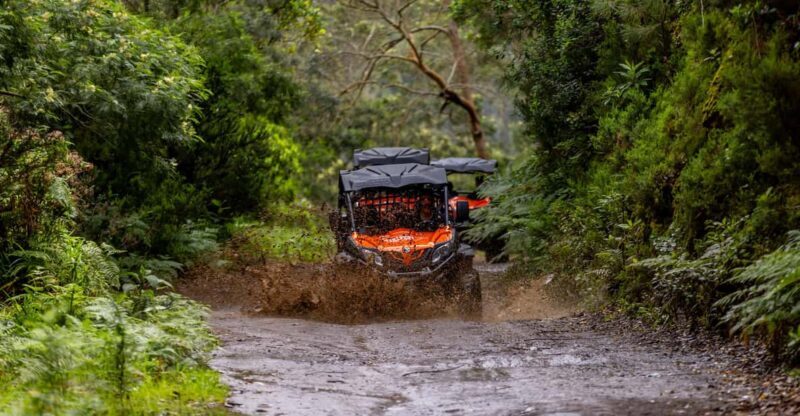 Madeira: OFF-ROAD BUGGY ADVENTURE TO FUNDURAS - Key Points