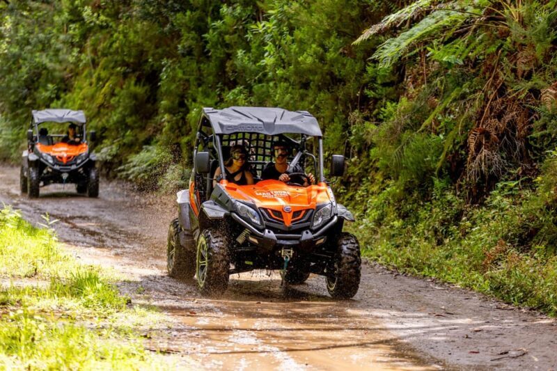 Madeira: OFF-ROAD BUGGY ADVENTURE TO FUNDURAS - The Sum Up