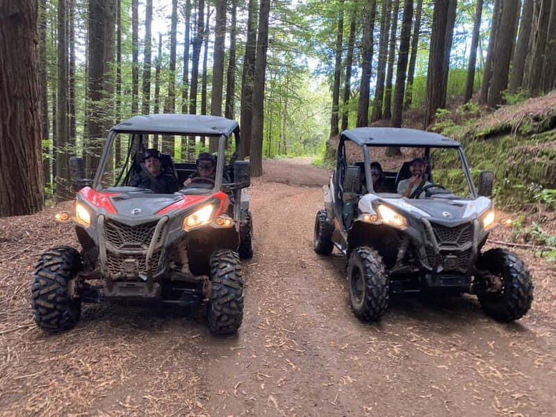 Madeira: Off-Road Buggy Driving Experience - Who Should Consider This Tour?