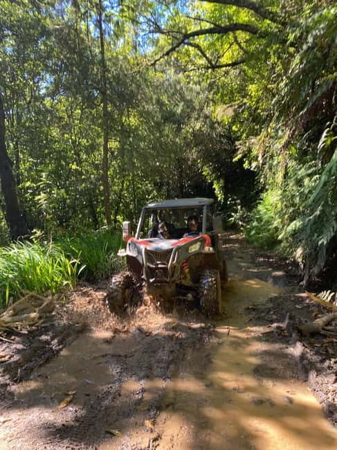 Madeira: Off-Road Buggy Driving Experience - The Sum Up