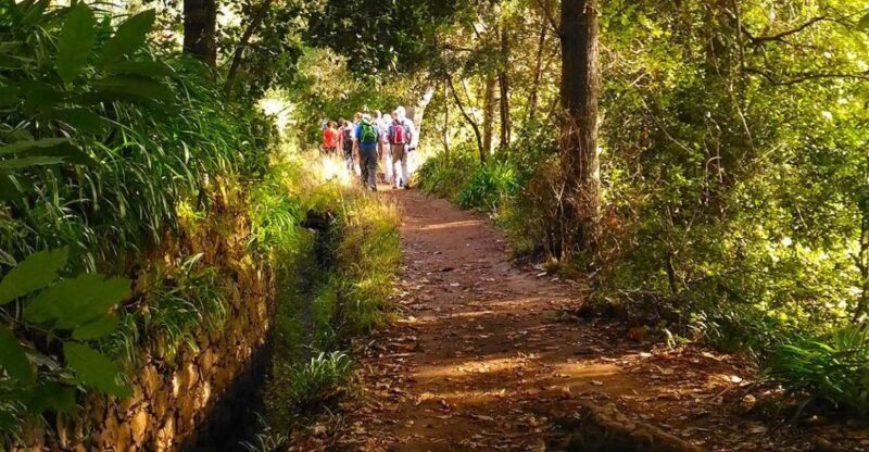 Madeira: Paradise Valley Levada Walk - The Sum Up: Who Will Love This Tour?