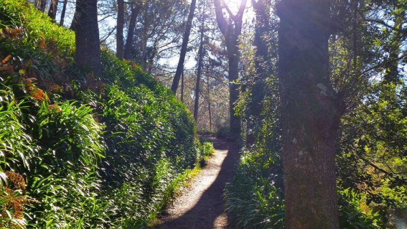 Madeira: Paradise Valley Levada Walk - Frequently Asked Questions