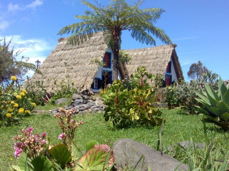 Madeira: Pico do Arieiro & Laurissilva Forest - East tour - Key Points