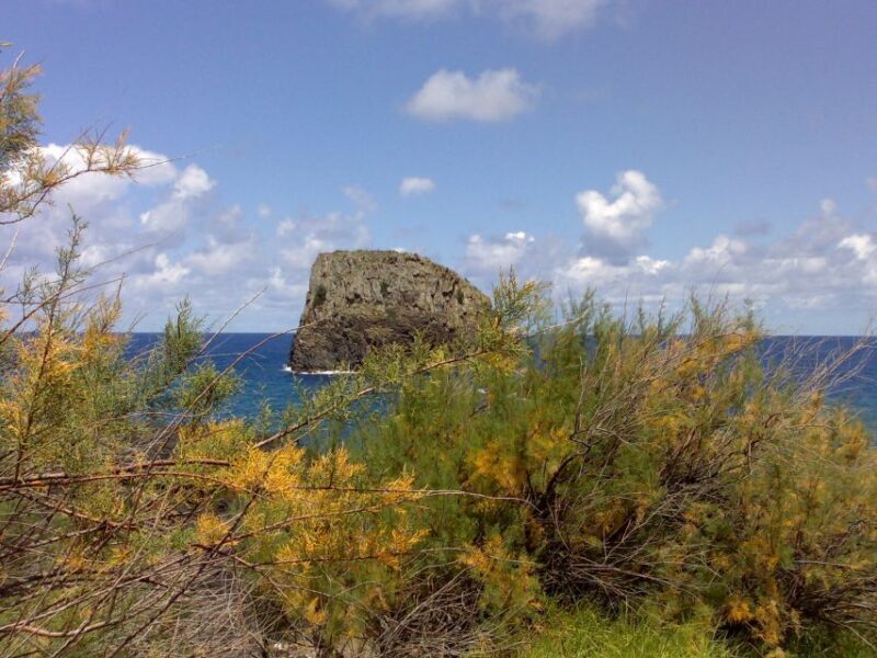 Madeira: Pico do Arieiro & Laurissilva Forest - East tour - Who Will Love This Tour?