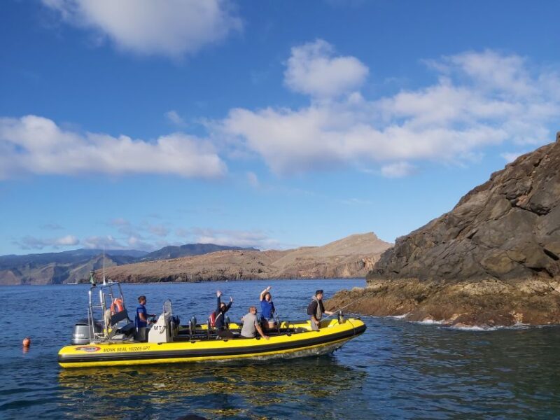 Madeira: Ponta de São Lourenço Lighthouse Boat Tour - Final Thoughts: Who Should Consider This Tour?