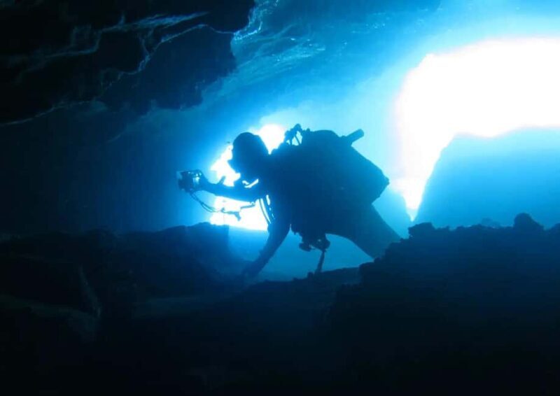Madeira: Ponta de São Lourenço Shore Dive (certified divers) - A Detailed Look at the Ponta de São Lourenço Shore Dive