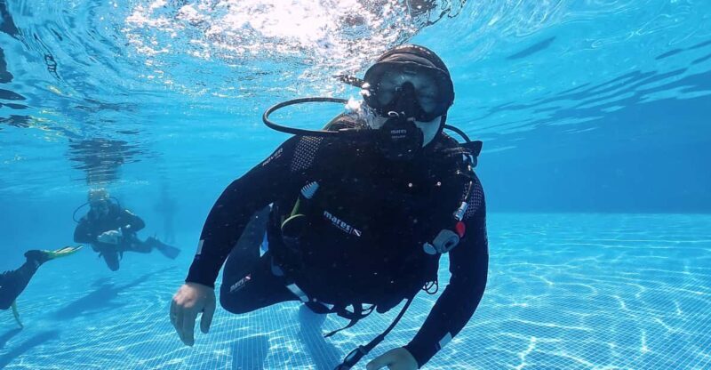 Madeira, Ponta São Lourenço: Scuba Diving for Beginners - Introduction: From Land to Ocean in Madeira