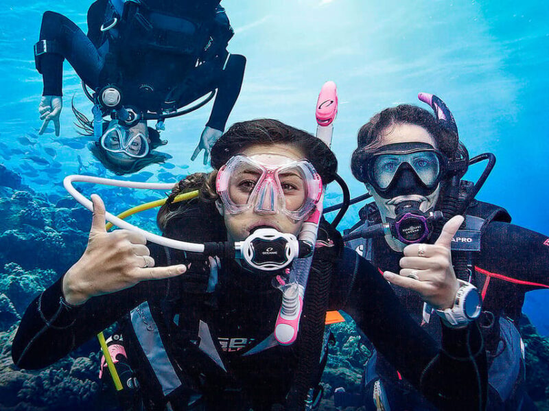 Madeira, Ponta São Lourenço: Scuba Diving for Beginners - The Sum Up