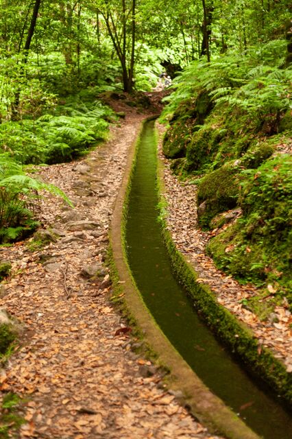 Madeira: PR 18 - Levada do Rei Hike Transfer - Why This Tour Stands Out