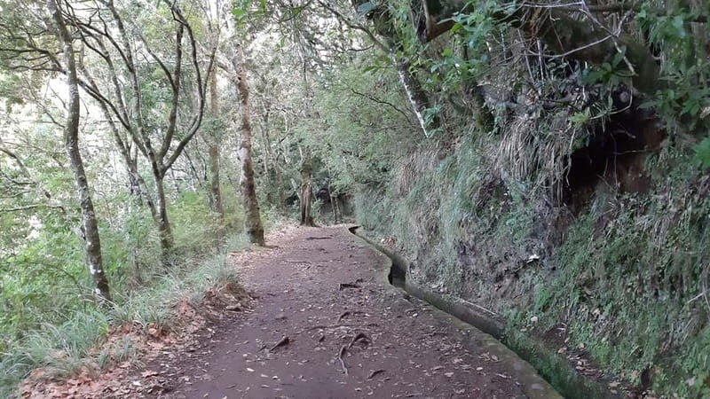 Madeira: Private 1.5-Kilometer Levada dos Balcões Hike PR11 - Key Points