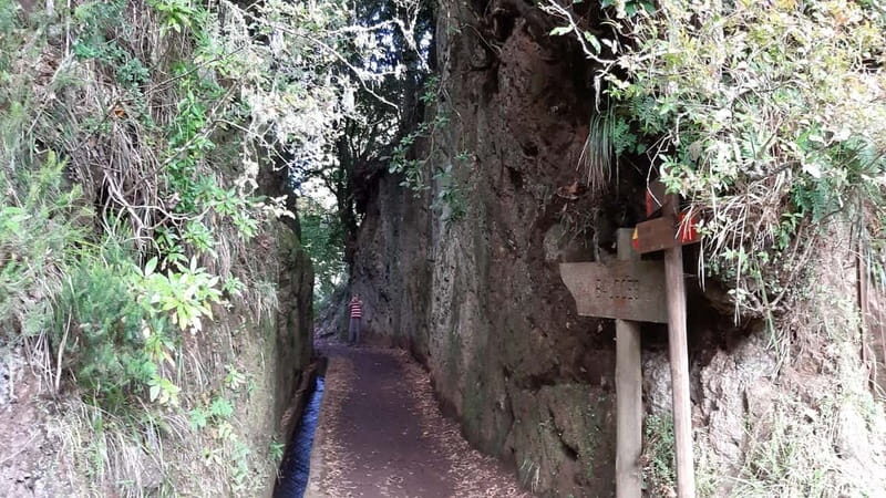 Madeira: Private 1.5-Kilometer Levada dos Balcões Hike PR11 - An In-Depth Look at the Levada dos Balcões Hike