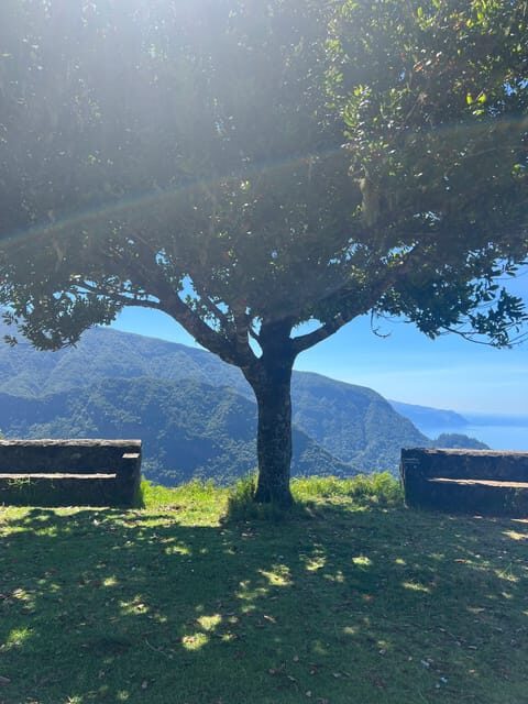 Madeira private 4x4 tour: North-East Coast - What We Learned from Other Travelers