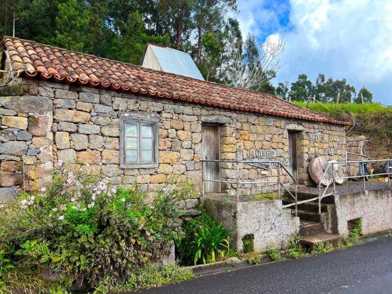 Madeira private 4x4 tour: North-East Coast - The Sum Up: Who Should Consider This Tour?