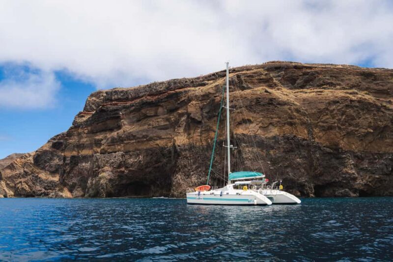 Madeira Private Catamaran Tour in Ponta de Sao Lourenço - Who Will Love This Tour?