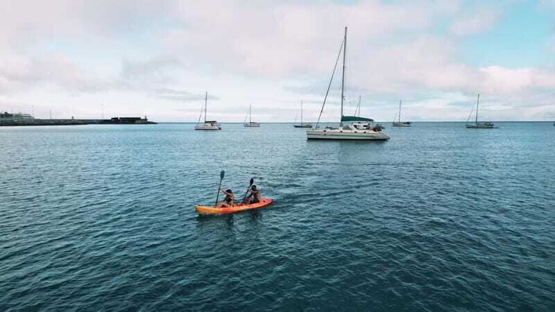 Madeira: Private Catamaran Tour with Snorkeling - Who Might Want More?