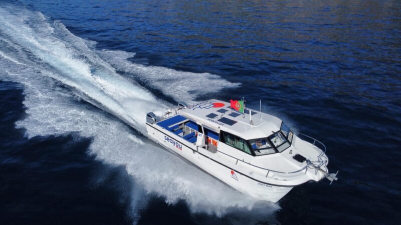 Madeira: Private Cruise to Calheta, Caniçal - Why This Tour Is Worth Its Price