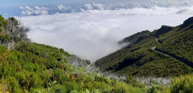 Madeira: Private Guided Achadas Teixeira - Pico Ruivo PR1.1 - Introduction: What to Expect from the Tour