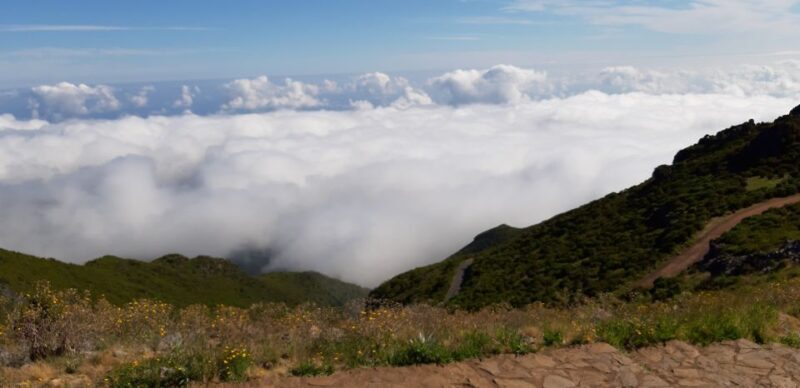 Madeira: Private Guided Achadas Teixeira - Pico Ruivo PR1.1 - Value and Experience