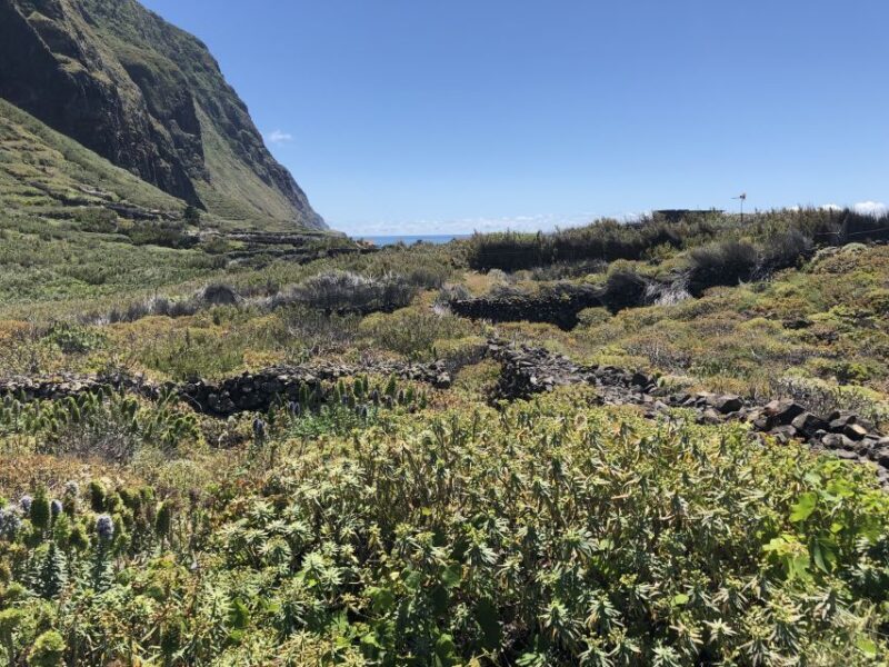 Madeira: Private Guided Half-Day Tour of Northwest Madeira - FAQ