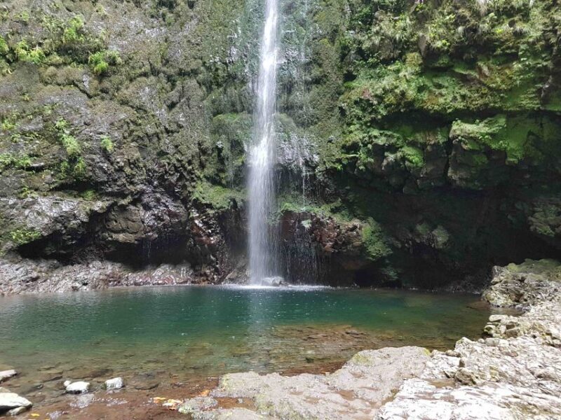 Madeira: Private Guided Levada Caldeirão Verde Walk PR9 - Detailed Breakdown of the Itinerary