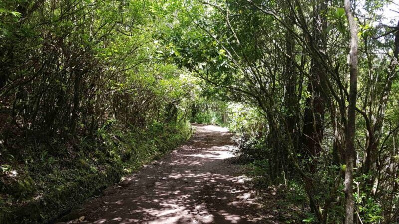 Madeira: Private Guided Levada Caldeirão Verde Walk PR9 - Practicalities and Considerations