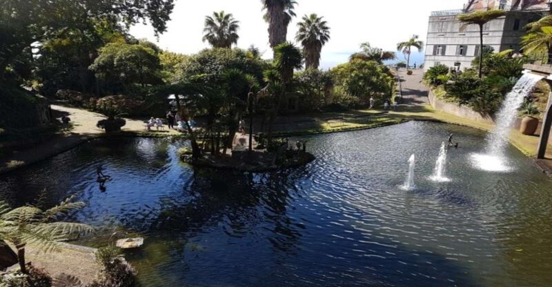 Madeira: Private Half-Day Guided Gardens Tour - An In-Depth Dive into Madeira’s Garden Tour