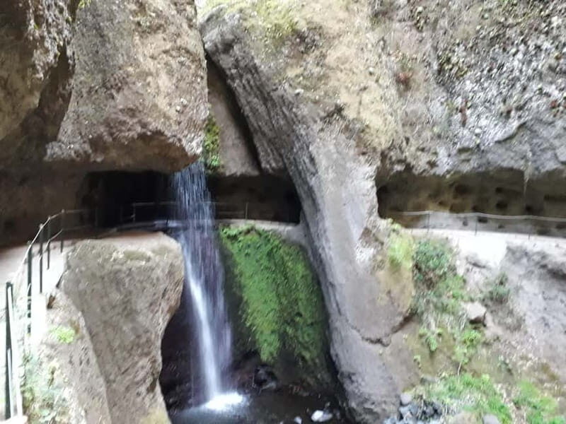 Madeira: Private Half-Day Walking and 4x4 off-road Tour - An In-depth Look at the Experience