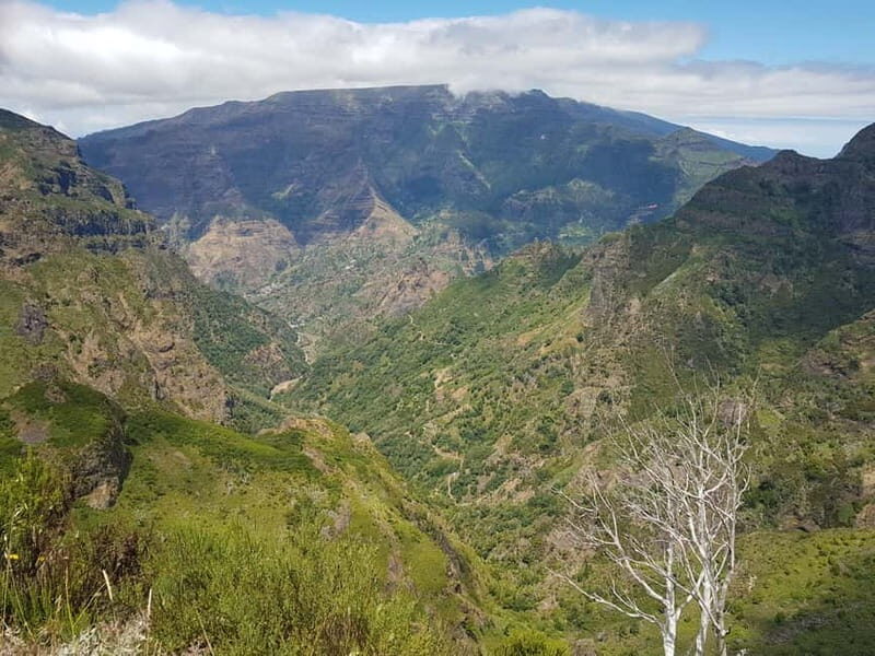 Madeira: Private Laurisilva Tour - Final Thoughts