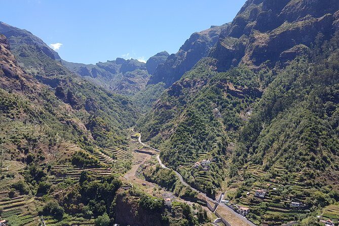 Madeira: Private Laurisilva Tour - Practical Tips for Making the Most of Your Tour