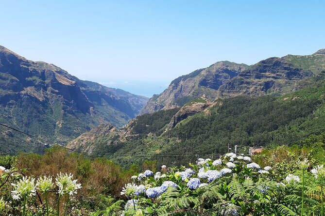 Madeira: Private Laurisilva Tour - FAQ about the Madeira: Private Laurisilva Tour