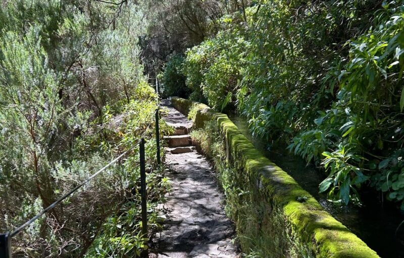 Madeira: Private Levada/Hike Experience with a Local Guide - Exploring Madeira’s Levada Trails: What You Can Expect