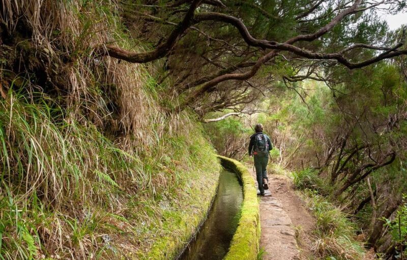 Madeira: Private Levada/Hike Experience with a Local Guide - Who Should Consider This Tour?