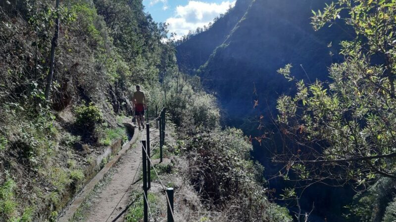 Madeira: Private Moinhos Levada Nova Walk Ponta do Sol - Discovering Madeira’s Natural Beauty
