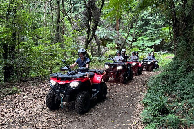 Madeira Private Off-road Quad Bike Experience - Who Should Consider This Tour