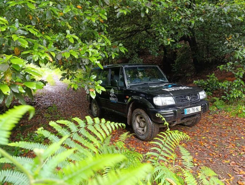 Madeira: Private Romantic Jeep Tour & Secret Picnic for Two - Final Thoughts: Is This the Right Experience for You?