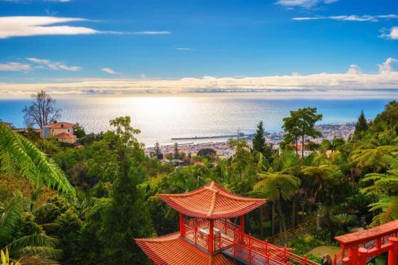 Madeira: Private Tour for Cruise Ship Passengers - What Travelers Say