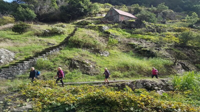 Madeira: Private Vereda do Larano Hike - Why This Tour Offers Great Value
