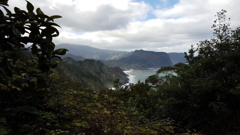 Madeira: Private Vereda do Larano Hike - Practical Tips for Making the Most of the Tour