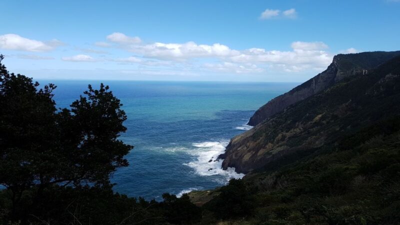 Madeira: Private Vereda do Larano Hike - FAQ