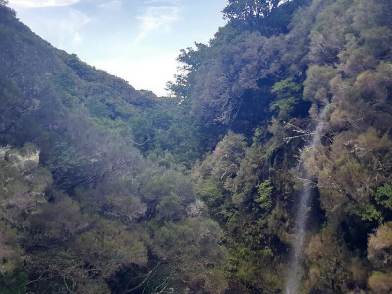Madeira: Private Walking Tour of Levada das 25 Fontes PR6 - Key Points