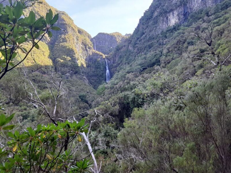 Madeira: Private Walking Tour of Levada das 25 Fontes PR6 - Introduction: Why This Tour Is a Must-Do