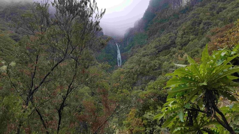 Madeira: Private Walking Tour of Levada das 25 Fontes PR6 - Detailed Breakdown of the Itinerary