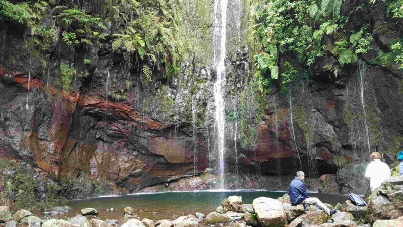 Madeira: Private Walking Tour of Levada das 25 Fontes PR6 - Authentic Reviews and Insights