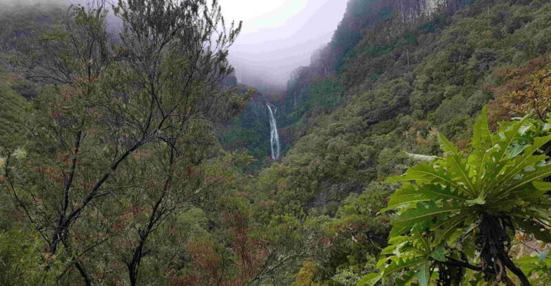 Madeira: Private Walking Tour of Levada das 25 Fontes PR6 - What’s Included and What You Should Know