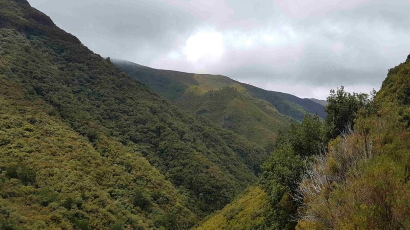 Madeira: Private Walking Tour of Levada das 25 Fontes PR6 - The Sum Up: Is It Worth It?