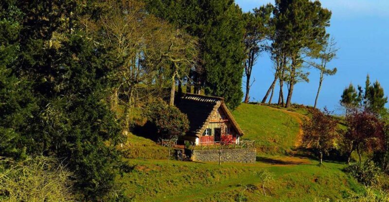Madeira: Queimadas, Caldeirão Verde and Levada Walk - An In-Depth Look at the Tour Experience