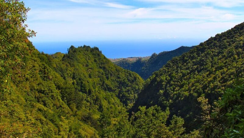Madeira: Queimadas, Caldeirão Verde and Levada Walk - Possible Drawbacks or Considerations