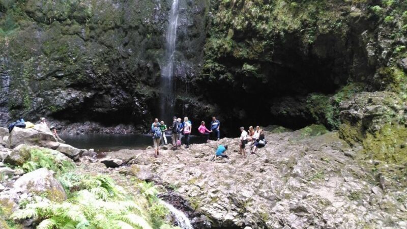 Madeira: Queimadas, Caldeirão Verde and Levada Walk - Frequently Asked Questions