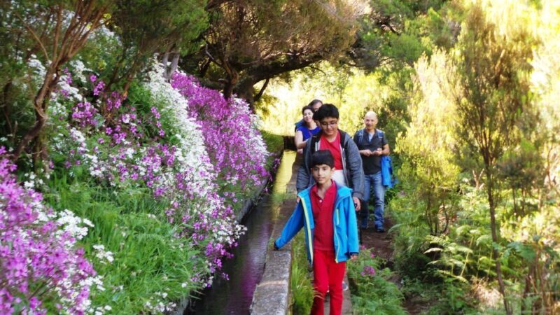 Madeira: Rabaçal 25 Fountains Levada Walk & Cabo Girão - Madeira: Rabaçal 25 Fountains Levada Walk & Cabo Girão — An Authentic Adventure