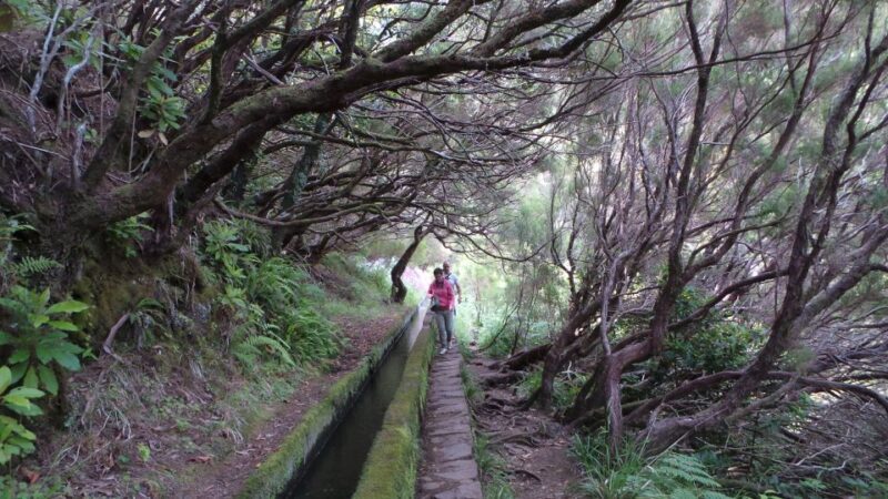 Madeira: Rabaçal 25 Fountains Levada Walk & Cabo Girão - Frequently Asked Questions (FAQs)